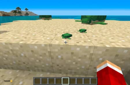 How Long Do Turtle Eggs Take To Hatch In Minecraft Java And Bedrock ...
