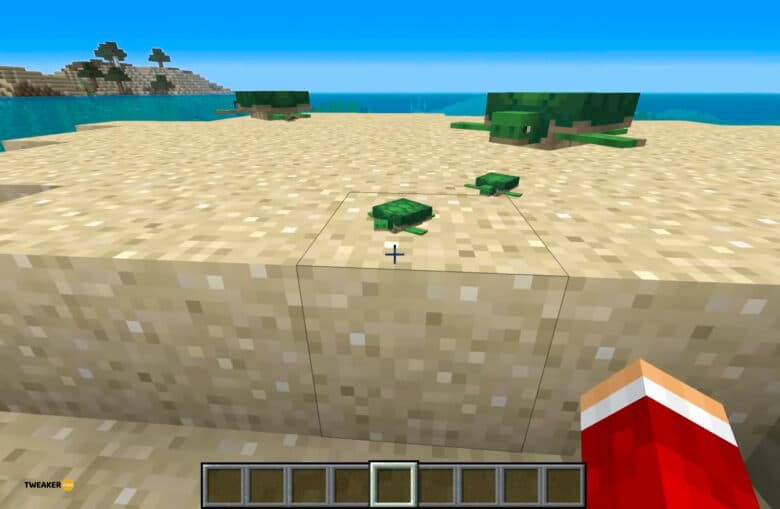 How Long Do Turtle Eggs Take To Hatch In Minecraft Java And Bedrock ...