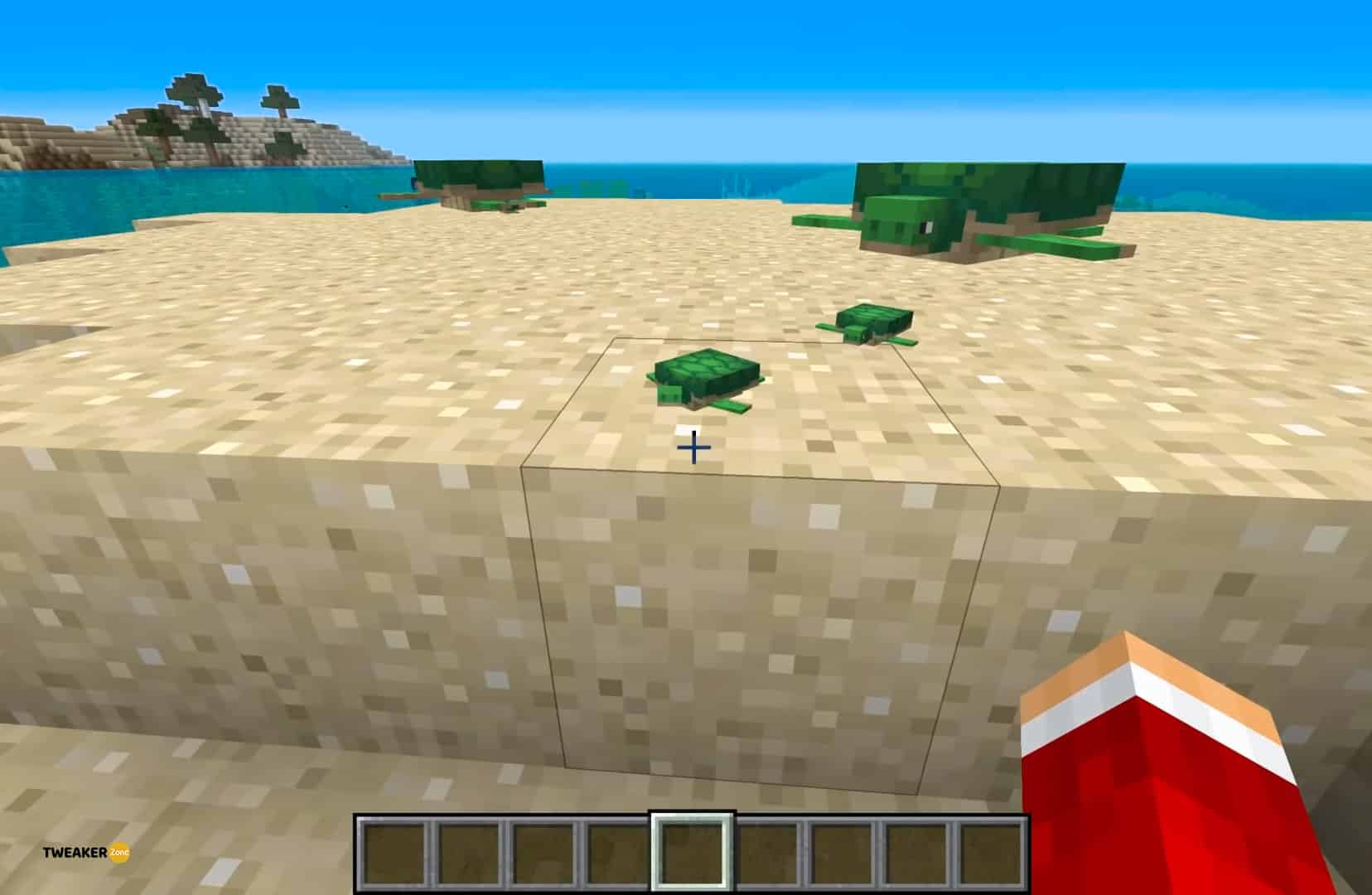 How Long Do Turtle Eggs Take To Hatch In Minecraft Java And Bedrock ...