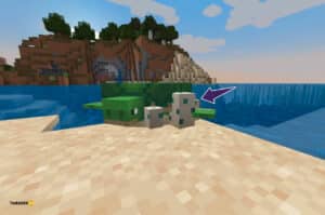 How Long Do Turtle Eggs Take To Hatch In Minecraft Java And Bedrock ...