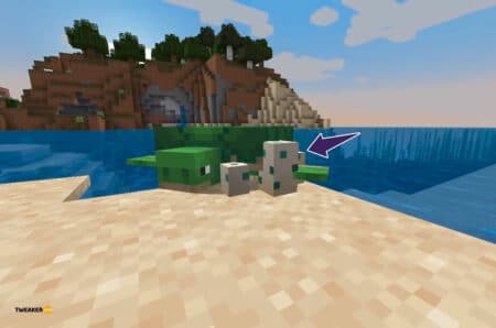 How Long Do Turtle Eggs Take To Hatch In Minecraft Java And Bedrock ...