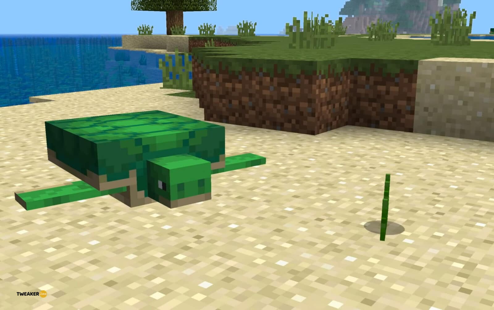 How Long Do Turtle Eggs Take To Hatch In Minecraft Java And Bedrock ...