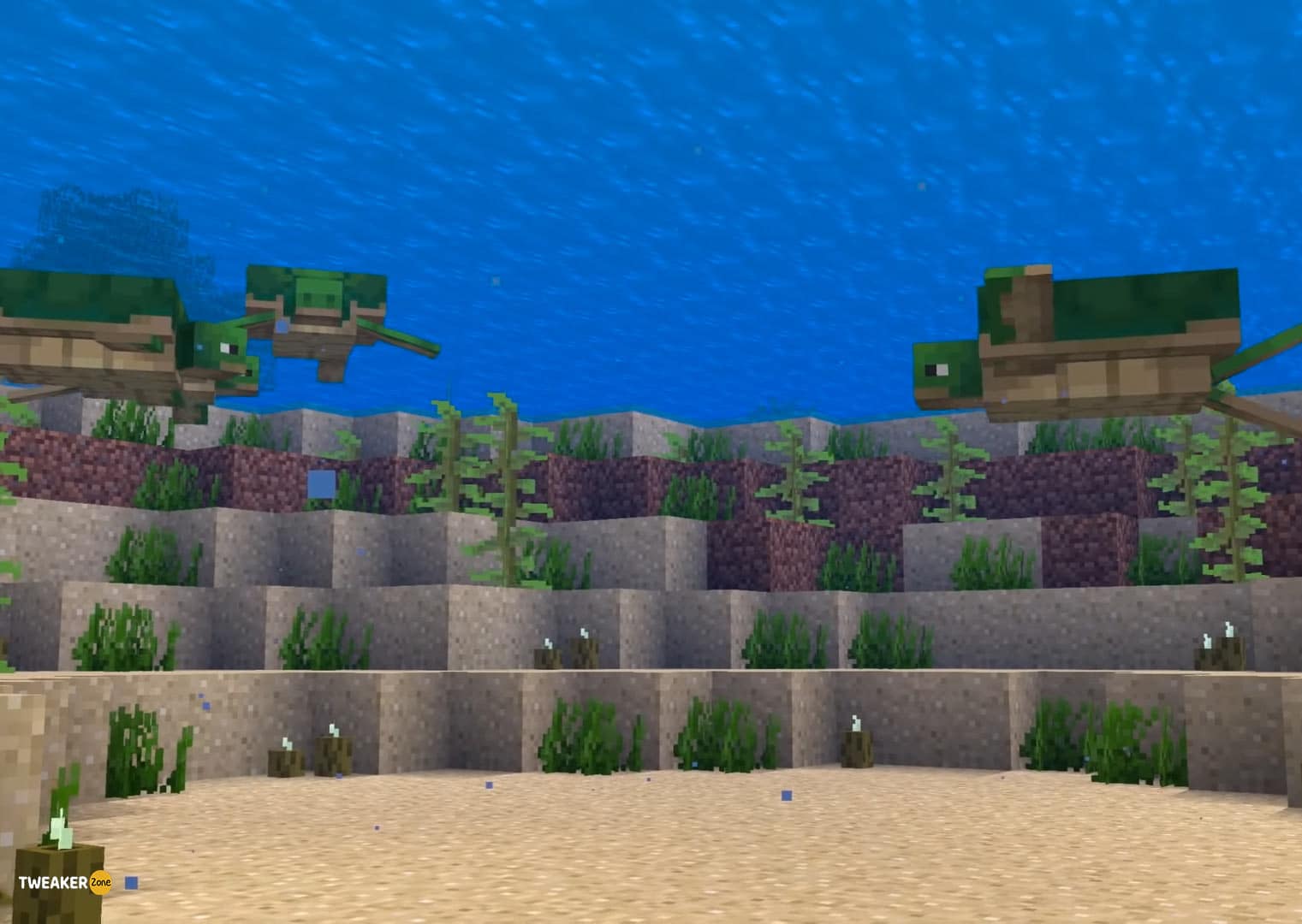How Long Do Turtle Eggs Take To Hatch In Minecraft Java And Bedrock ...