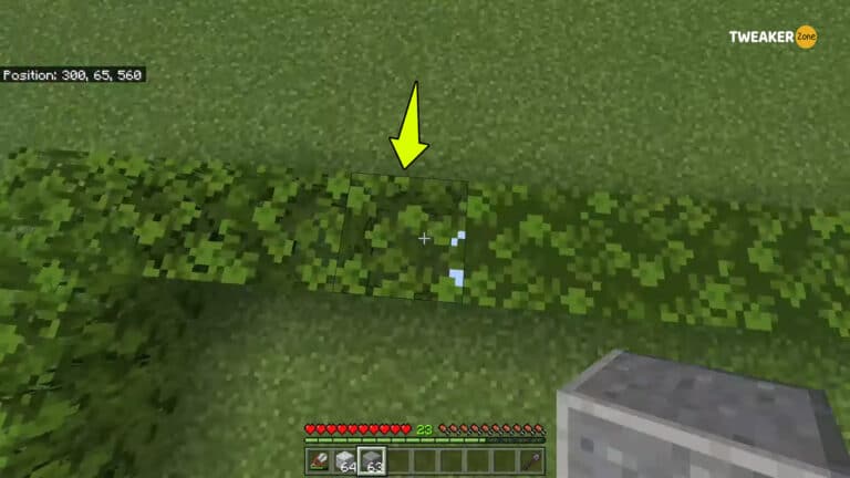 How Big Is A Chunk In Minecraft? Everything You Need To Know In 2023 ...